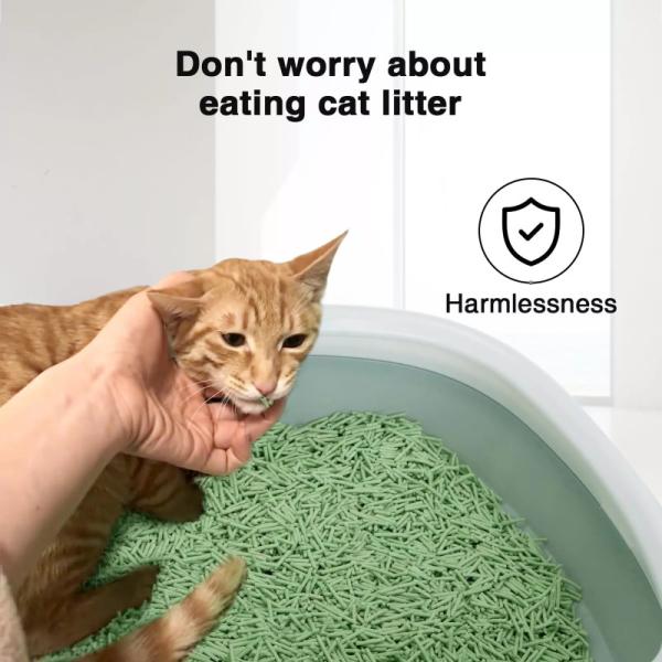 Quality Deodorizing Green Tea Cat Litter Dust Free Fast Clumping Kitty Litter Tofu Strip for sale