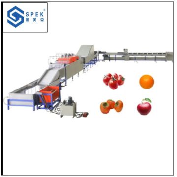 Quality automatic fruit apple washing and waxing and sorting macine fruit sorting for sale