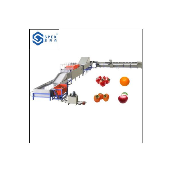 Quality Automatic Fruit Washing Waxing And Sorting Machine for sale