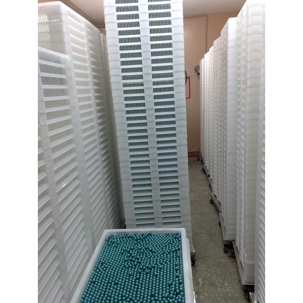 Quality Softgel Plastic Drying Trays for sale