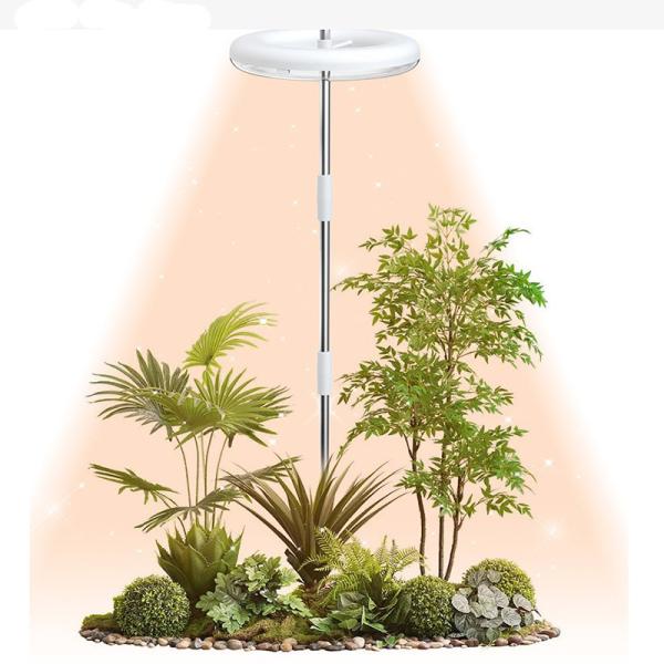 Quality 9W Height Adjustable LED Growth Lamp 4000k For Indoor Desk plant for sale