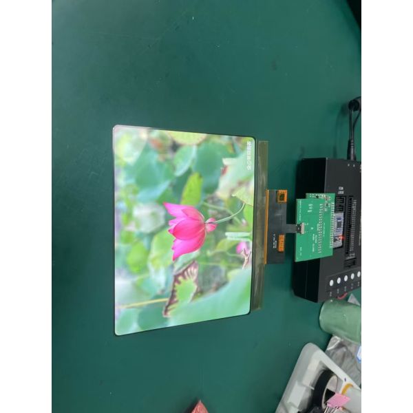 Quality 8 Inch AMOLED OLED Display With Touch Panel 1860×2480 Resolution MIPI Interface  430cd/m2 Driving IC RM69380 for sale
