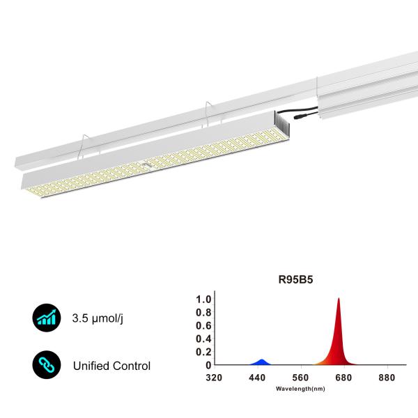 Quality 720W Linear Greenhouse Led Grow Light High Efficacy greenpower led toplighting for sale