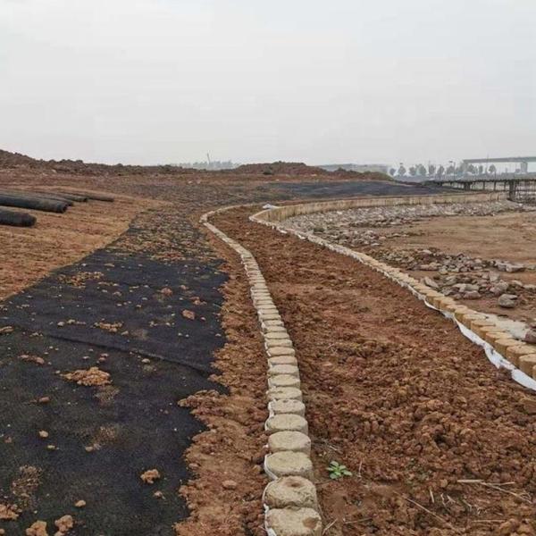 Quality Slope Grass Protection Ecological Soil And Water Protection Blankets for sale