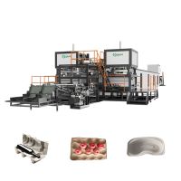 Quality Automatic Fiber Molding Machine Packaging Fruit Tray Forming Equipment for sale