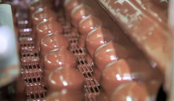 Quality PD400 Complete Chocolate Enrobing Machine Line Complete Chocolate Coating for sale