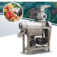 Quality Stainless Steel Fruit And Vegetable Spiral Juicer Beater Fruit Juice Extractor for sale