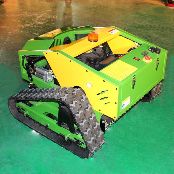 Quality Petrol Lawn Mower Industrial/DIY Riding Mower with Rotary Cordless and Robotic for sale