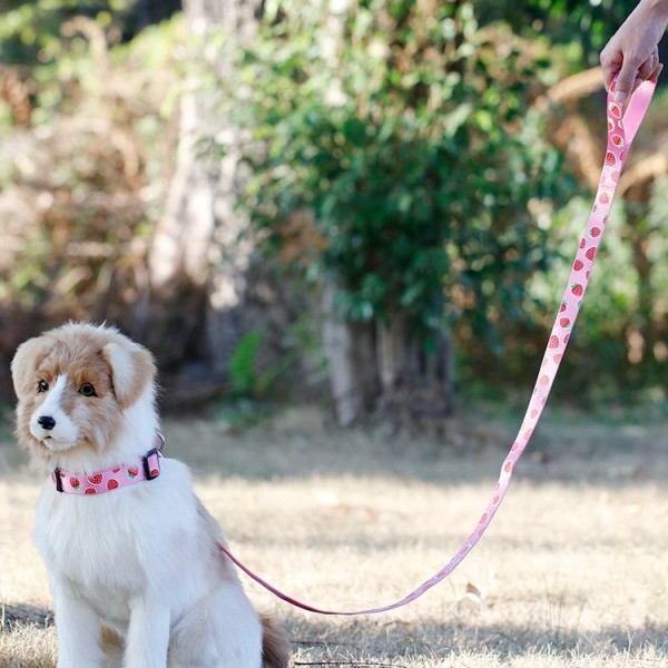 Quality OEM training dog leash Silk Screen Pattern dog training lead for sale