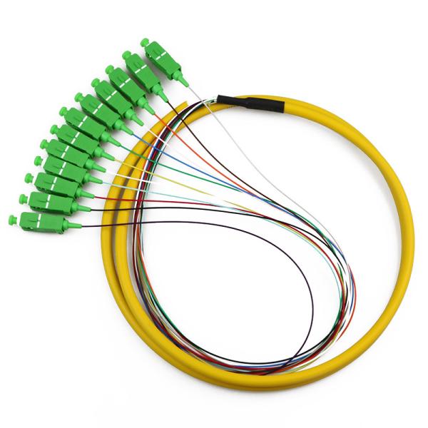 Quality SC/APC-NC, LSZH, 0.9mm, 12 Fiber, G.657A2, 1 meter Color-coded Distribute Style Pigtail Packs for sale
