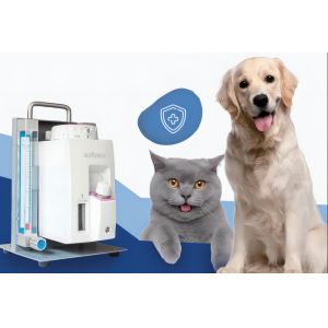 Quality DM6E Veterinary Anesthesia Machine 110V-240V VET anesthesia ventilator for sale