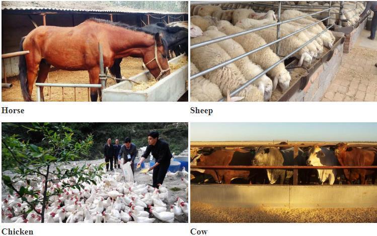 Low Price CAS 73-22-3 Animal Feed Additives for Poultry L-Tryptophan