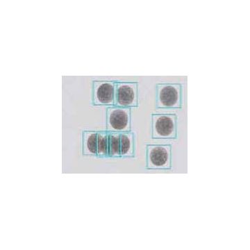 Quality UNX6030N X-Ray System For Ham Sausage / Jerky / Nuts Foreign Matters Inspection for sale