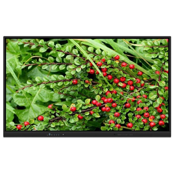 Quality 75 Inch oem interactive whiteboard with Speakers For Home Teaching Zoom Meetings for sale