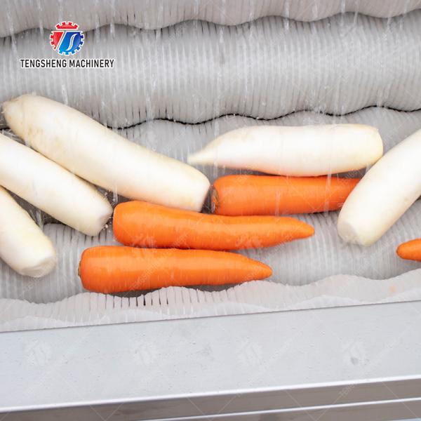 Quality Enhance Your Production with Our State-of-the-Art Fruit And Vegetable Processing for sale