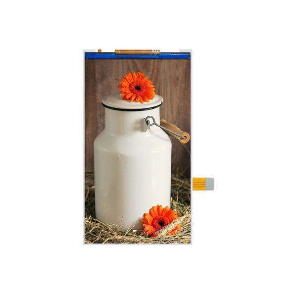 Quality 5 Inch TFT Screen 480X854 MIPI Interface Display 400 Cd/M2 for sale