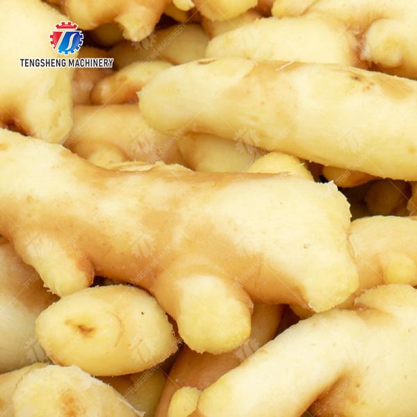 Quality Leaves Vegetables Onions Leafy vegetables Cabbage varieties Herbs Fruiting for sale