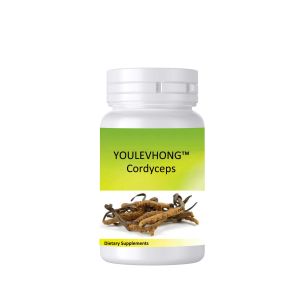 Quality Cordyceps Supplements Healthy Immune Support Promote Normal Vascular Function for sale