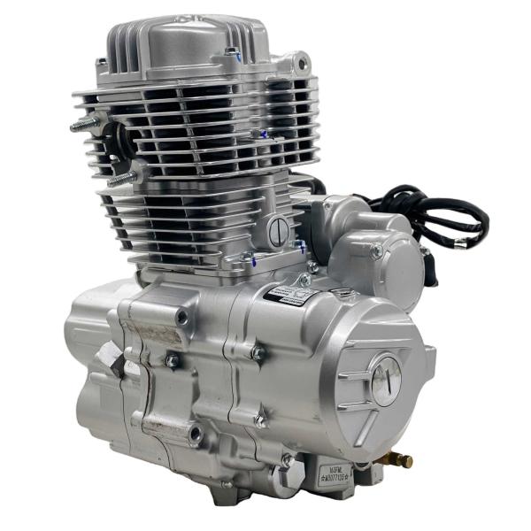 Quality DAYANG 200cc Tricycle Air Cooling Engine for Peru Three Wheel Motorcycle Trike Engine for sale
