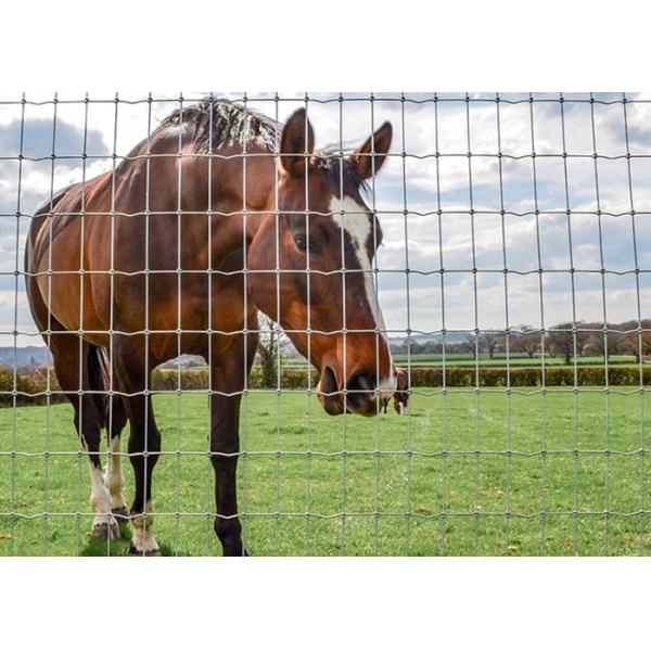 Quality Silver Fixed Knot Deer Fence With Square Hole Shape Hot Dipped Galvanized for sale