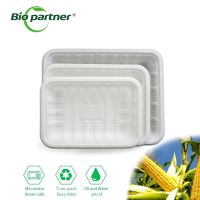 Quality Blister Food Grade Disposable Plastic Plastic Beef Packaging Tray Fresh Fruit for sale