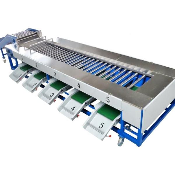 Quality Fruit Weight Selecting Fruit Vegetable Processing Machine For Grading Sorting for sale