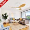 china Decorative Ceiling Fan With LED Light Living Room Quiet Dc Motor