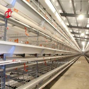 Quality Full Automatic Battery Cage Price In Nigeria H type layer Mia for sale