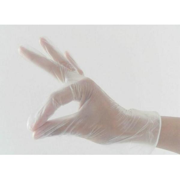 Quality CE Safty Disposable Medical PVC Gloves , Latex Free Powder Free Disposable for sale