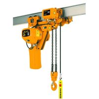 Quality Leading Crane Low Headroom Electric Chain Hoist Standard Lifting height 3M for sale