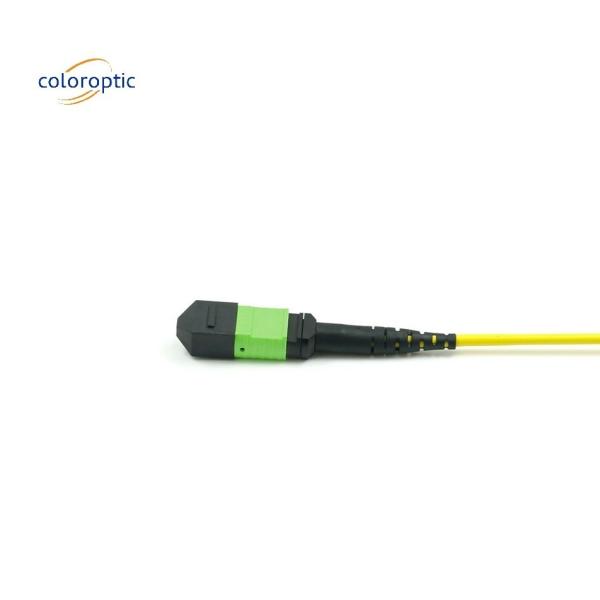 Quality 1m Multi Fiber Push On MPO Patch Cord With PVC Jacket Aqua Color for sale