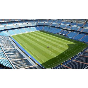 Quality 50mm Artificial Football Turf Backing Synthetic Grass With Long Lasting For for sale