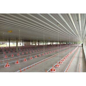 Quality Pan Feeding SS304 3.5m Broiler House Equipment For Chicken for sale