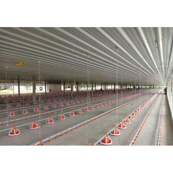 Quality Pan Feeding SS304 3.5m Broiler House Equipment For Chicken for sale