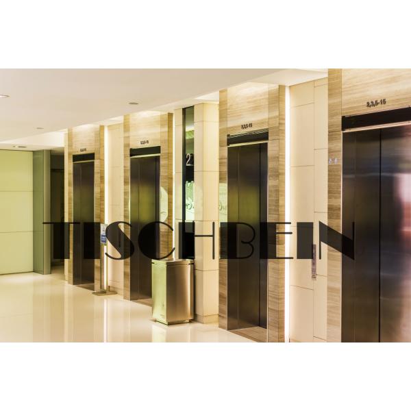 Quality 450kg 630kg panoramic glass elevator for sale