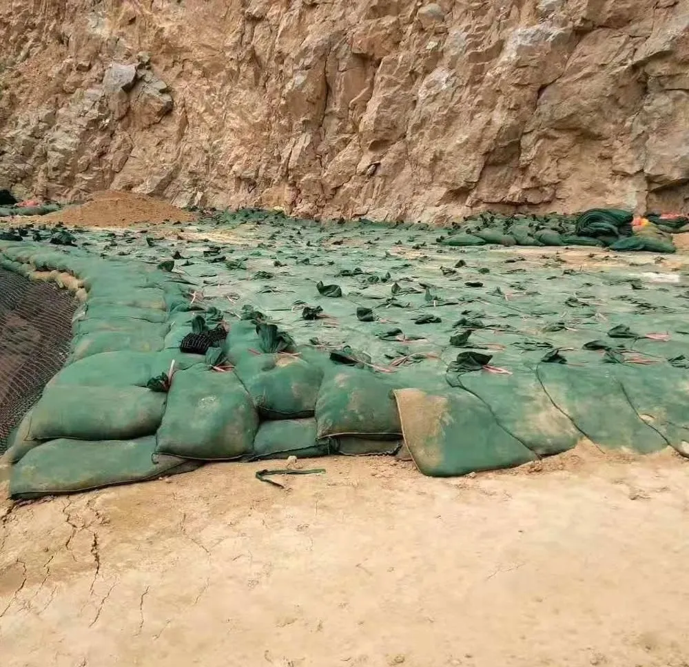 Nonwoven Geobag Polyester/PP Geobag for Slope Protection and Grass Dam to Protect Ecological Environment