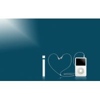 Quality Various Designs Plastic Document Folder with Button Closure for Business Needs for sale