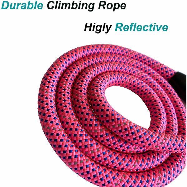 Quality Highly Reflective Nylon Dog Leash Comfortable Handle for sale