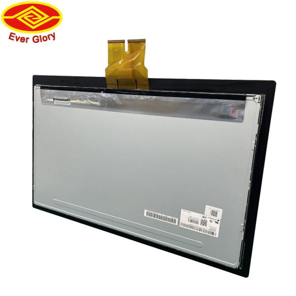 Quality Anti Blue Light 7 Inch Display Panel Touch Screen For Medical Devices OEM for sale