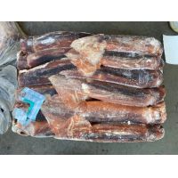 Quality BQF 200G 300G Whole Round Fresh Frozen Illex Squid for sale