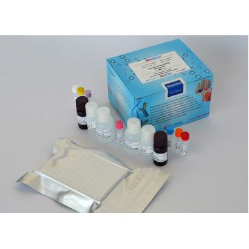 Quality Rapid Amantadine ELISA Assay Kit / Quantitative Analysis Egg Test Kit for sale