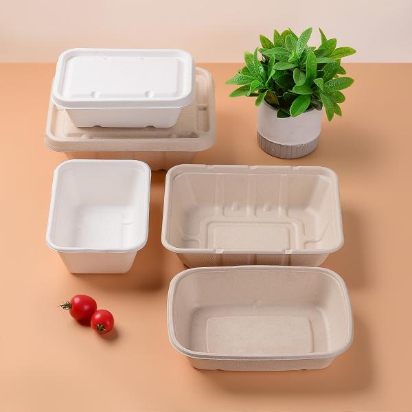 Quality Sugarcane Lunch Box Biodegradable Compostable Food Container for Estimated for sale