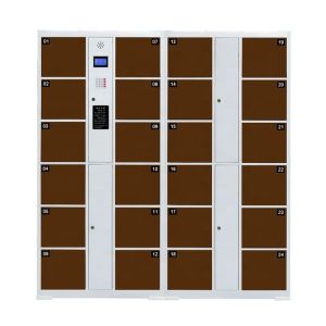 Quality ODM Outdoor Wardrobe Smart Electronic Locker For Parcel for sale