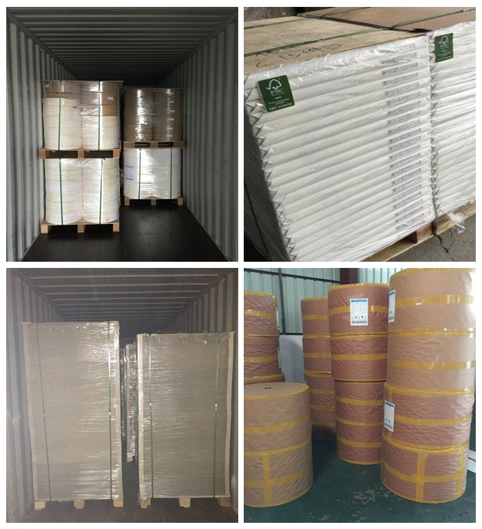 70g + 20g Woodfree Offest Paper PE Coated Greaseproof And Waterproof In Sheets