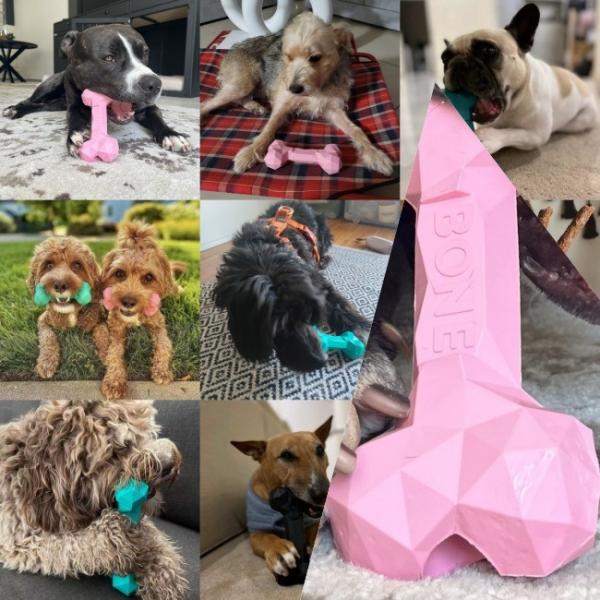 Quality Pet Tooth Cleaning Interactive Bone Toys Aggressive Chewers Chewing Satisfaction for sale