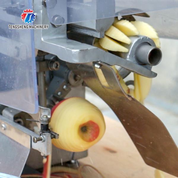 Quality 220V Custom Commercial Fruit Peeler , Electric Apple Peeler And Corer Machine for sale
