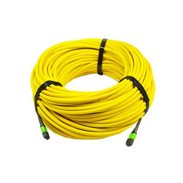 Quality 24 Core Fiber Optic To 24F MPO MTP Patch Cord Fiber Trunk Cable for sale