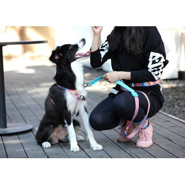 Quality Front Connect Easy Walk Dog Harness Small Medium for sale