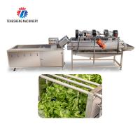 Quality Bubble washing vibration air drying production line Orange Vegetable Herbs Fruit for sale