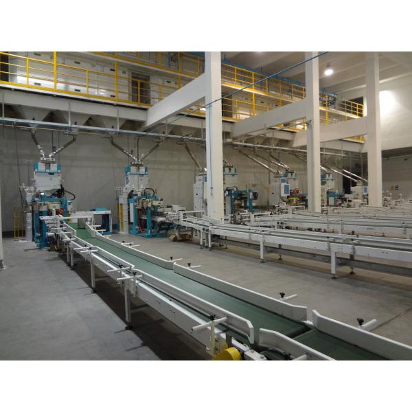 Quality Servo Motion Multifunction Automated Packaging Lines Converying Robot Palletzing for sale